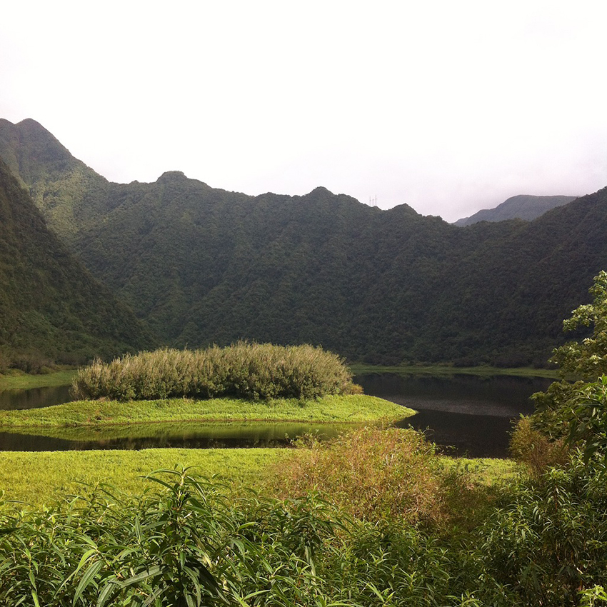 Road trip à La Réunion vol.1
